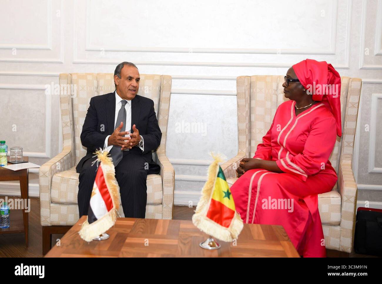 Egyptian Minister of Foreign Affairs and Migration Badr Abdel Ati meets ...