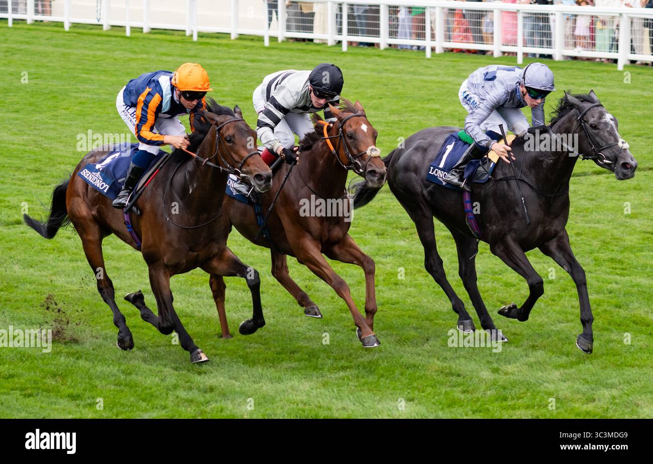 Breeder ciara eglington hi-res stock photography and images - Alamy