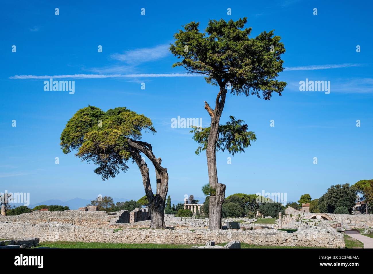 Ruins in Paestum, province of Salerno, Italy a former major ancient ...