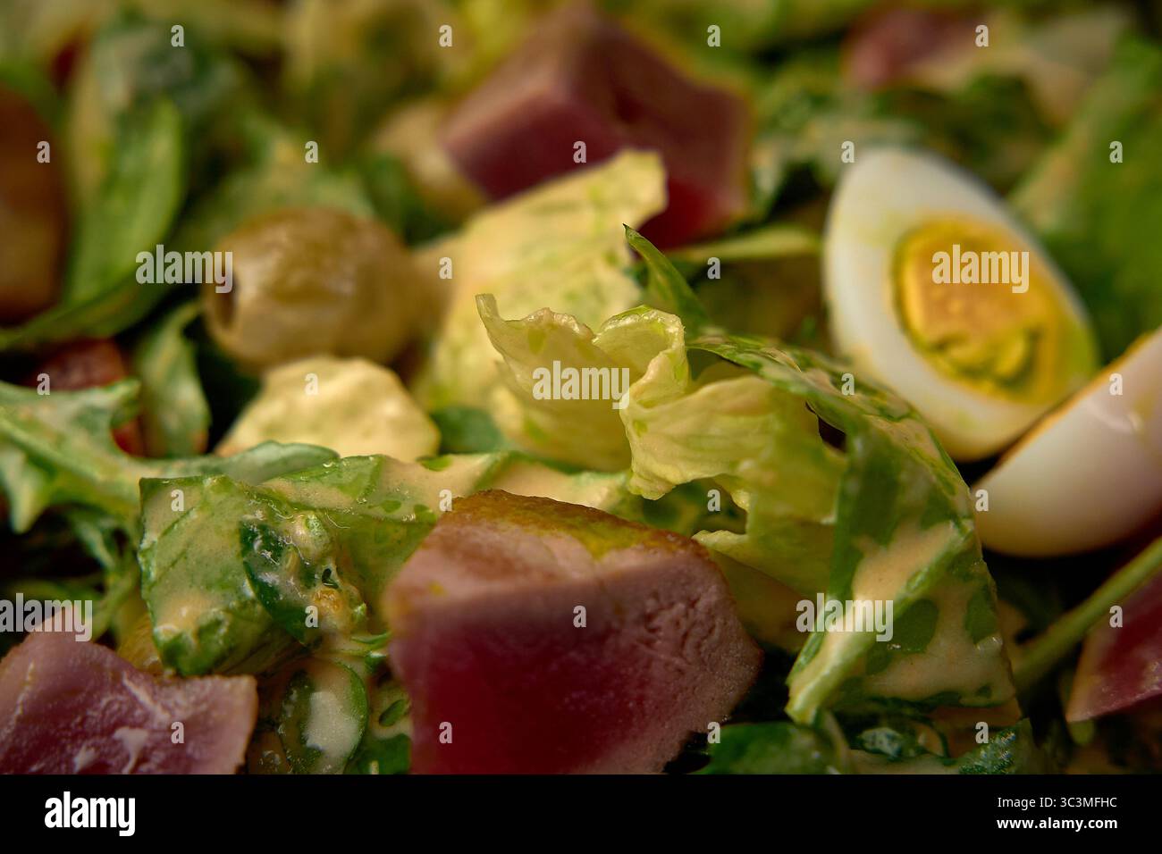 Fresh and Flavorful Salad Featuring Crisp Greens, Tender Protein ...
