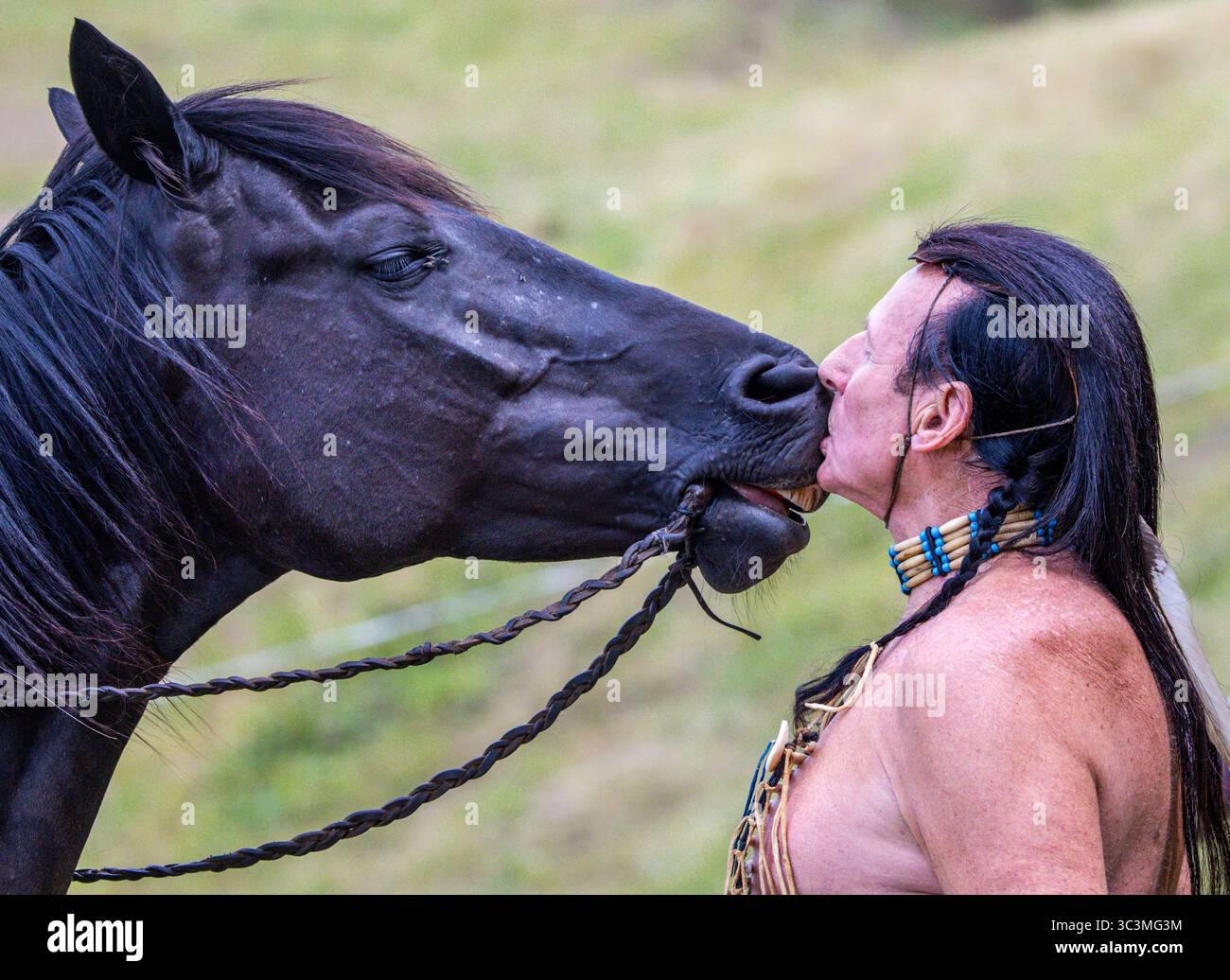 25 July 2025, Mecklenburg-Western Pomerania, Neu Damerow: Show rider ...