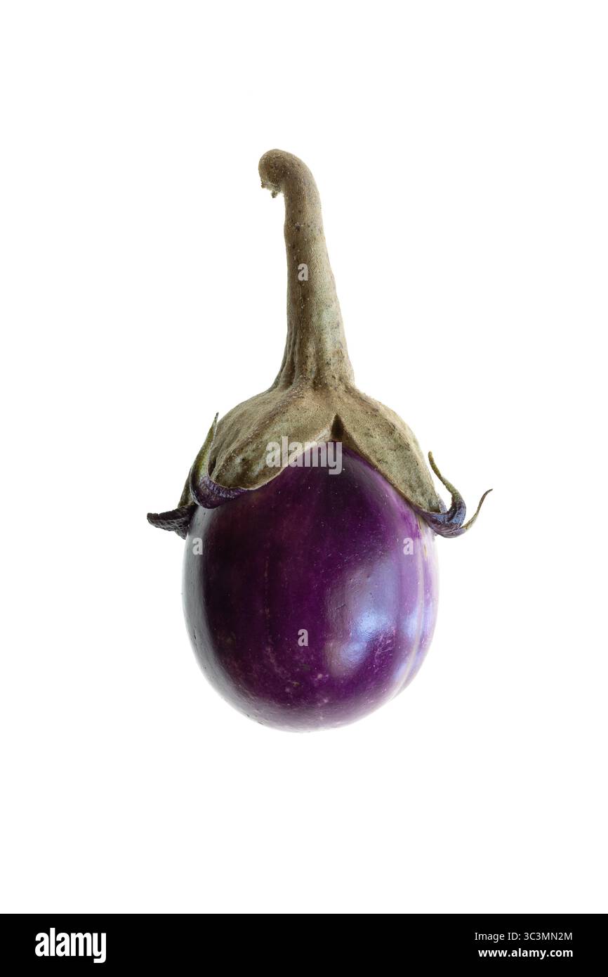 Popular asian fruit Cut Out Stock Images & Pictures - Alamy