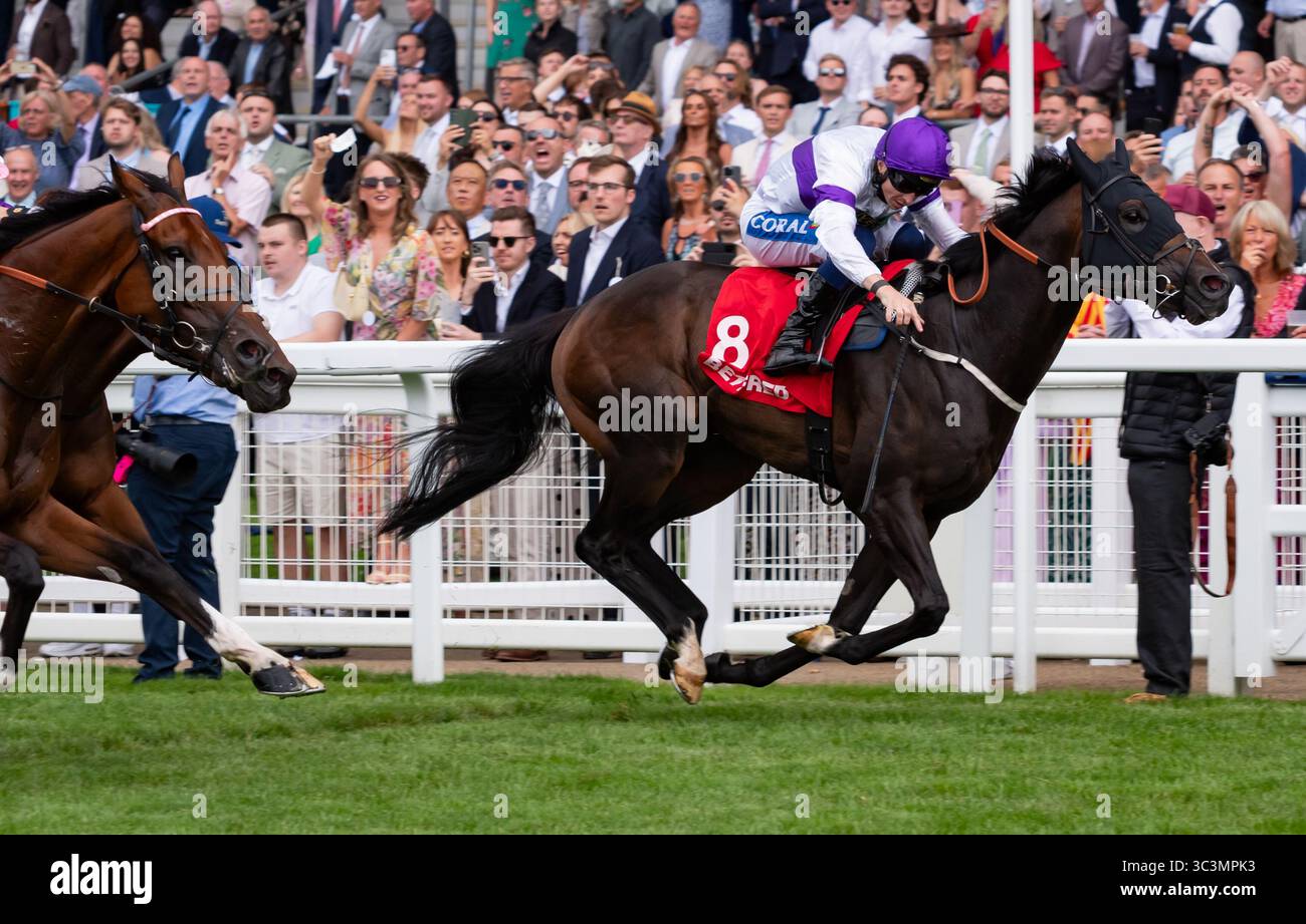 Clive cox racing limited hi-res stock photography and images - Alamy