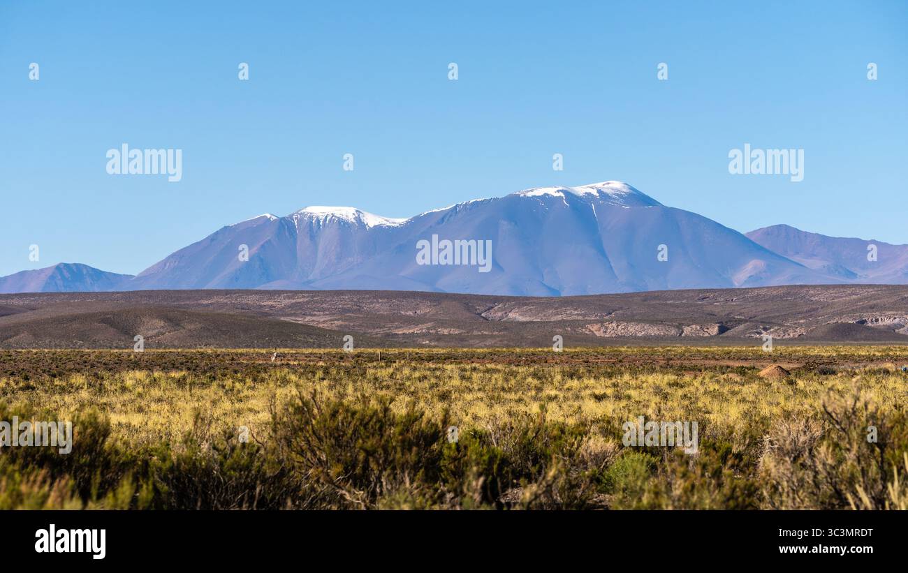 Expansive view of the highlands in La Puna, Argentina, showcasing ...