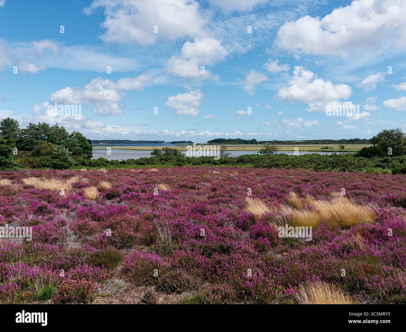 Heather slopes hi-res stock photography and images - Alamy