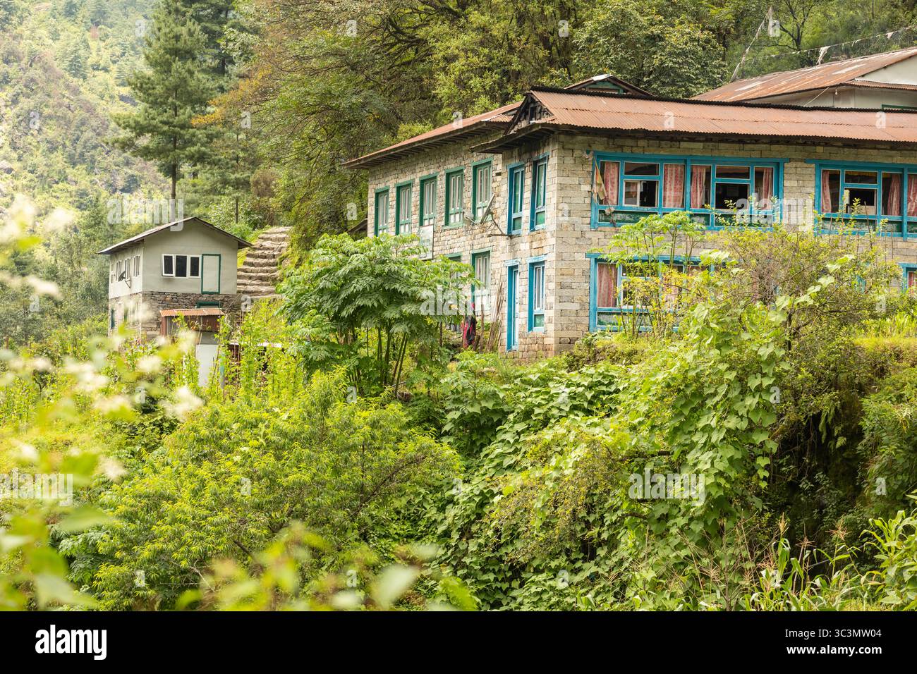 Traditional stone houses nestled in lush greenery in namche bazaar ...