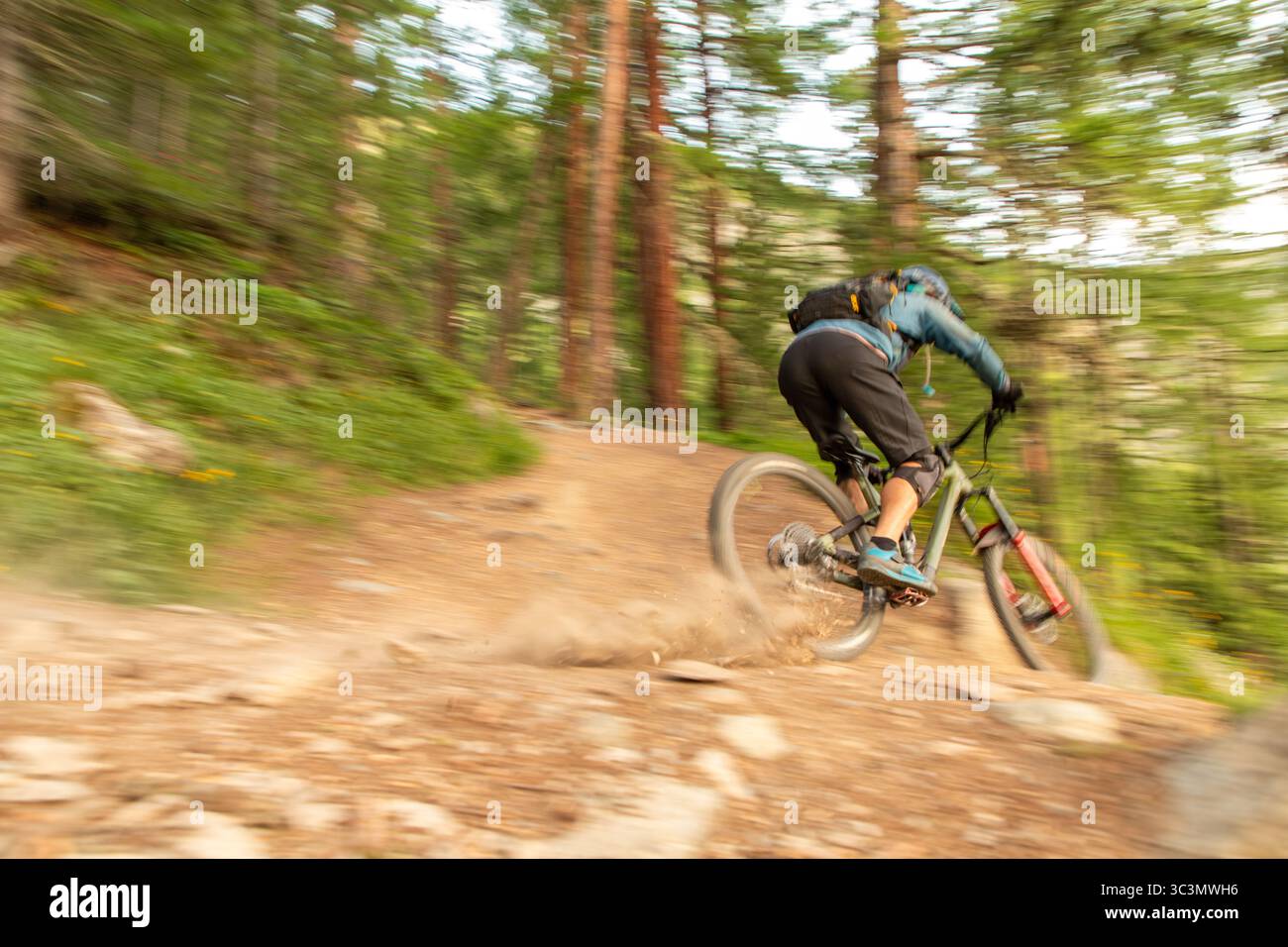 Back view of an unrecognizable man speeds downhill on a mountain bike ...