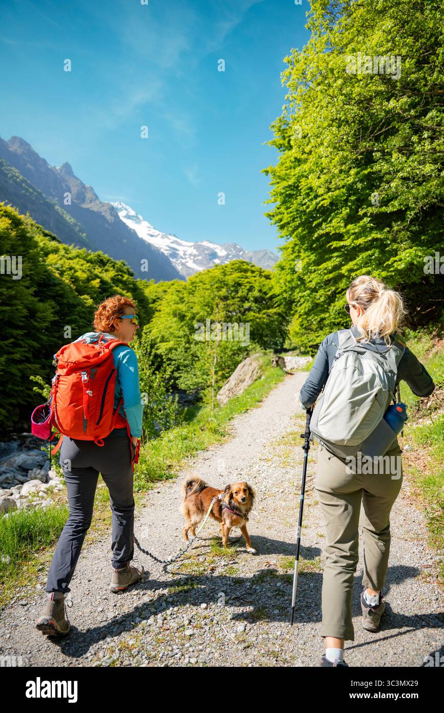 Family enjoys hike along hi-res stock photography and images - Alamy