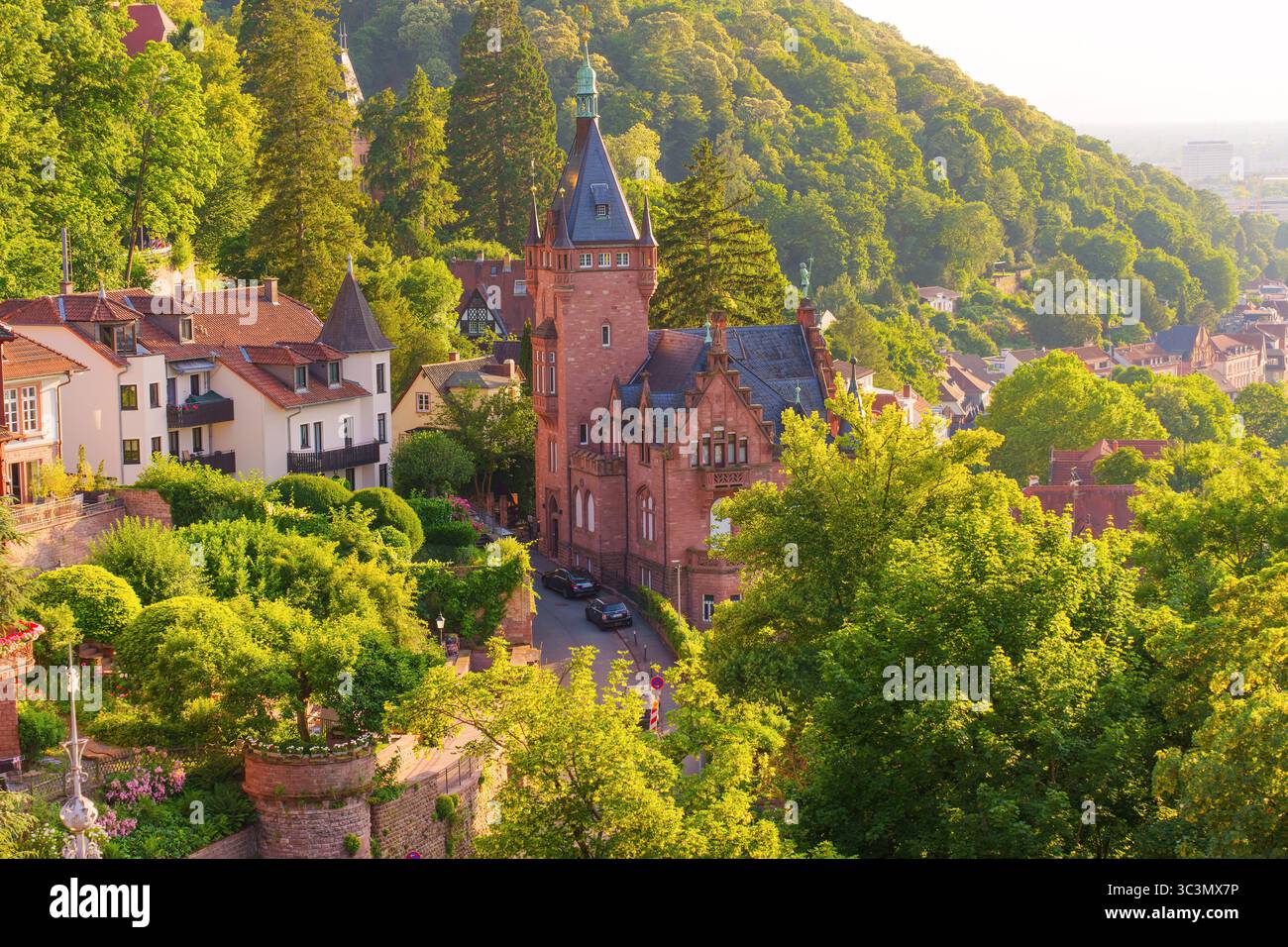 Aerial view of Heidelberg featuring historic buildings amidst vibrant ...