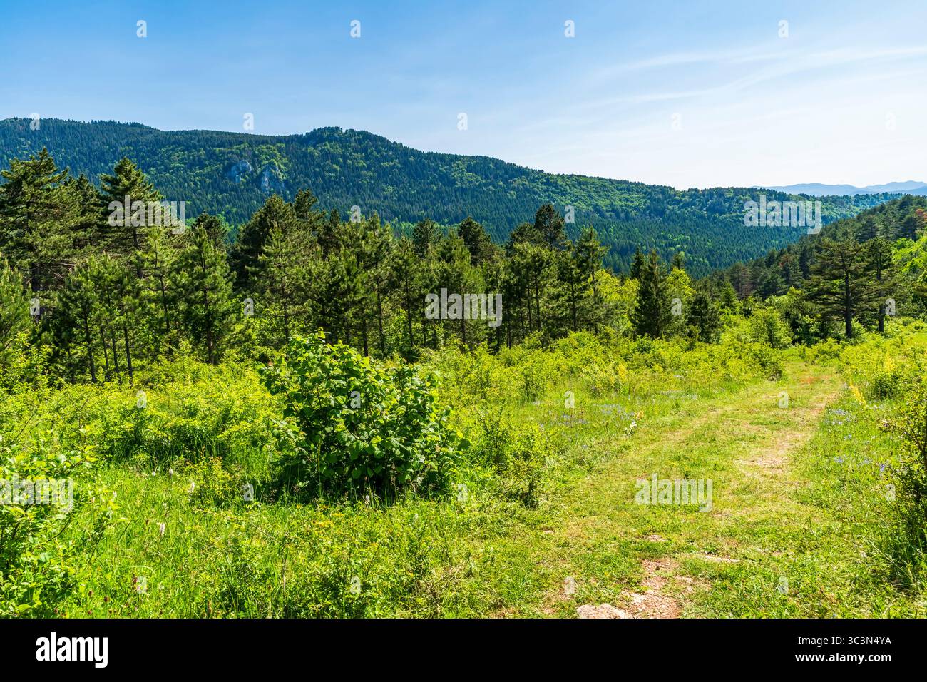 Landscape on Mount Trebevic near Sarajevo, Bosnia and Herzegovina Stock ...