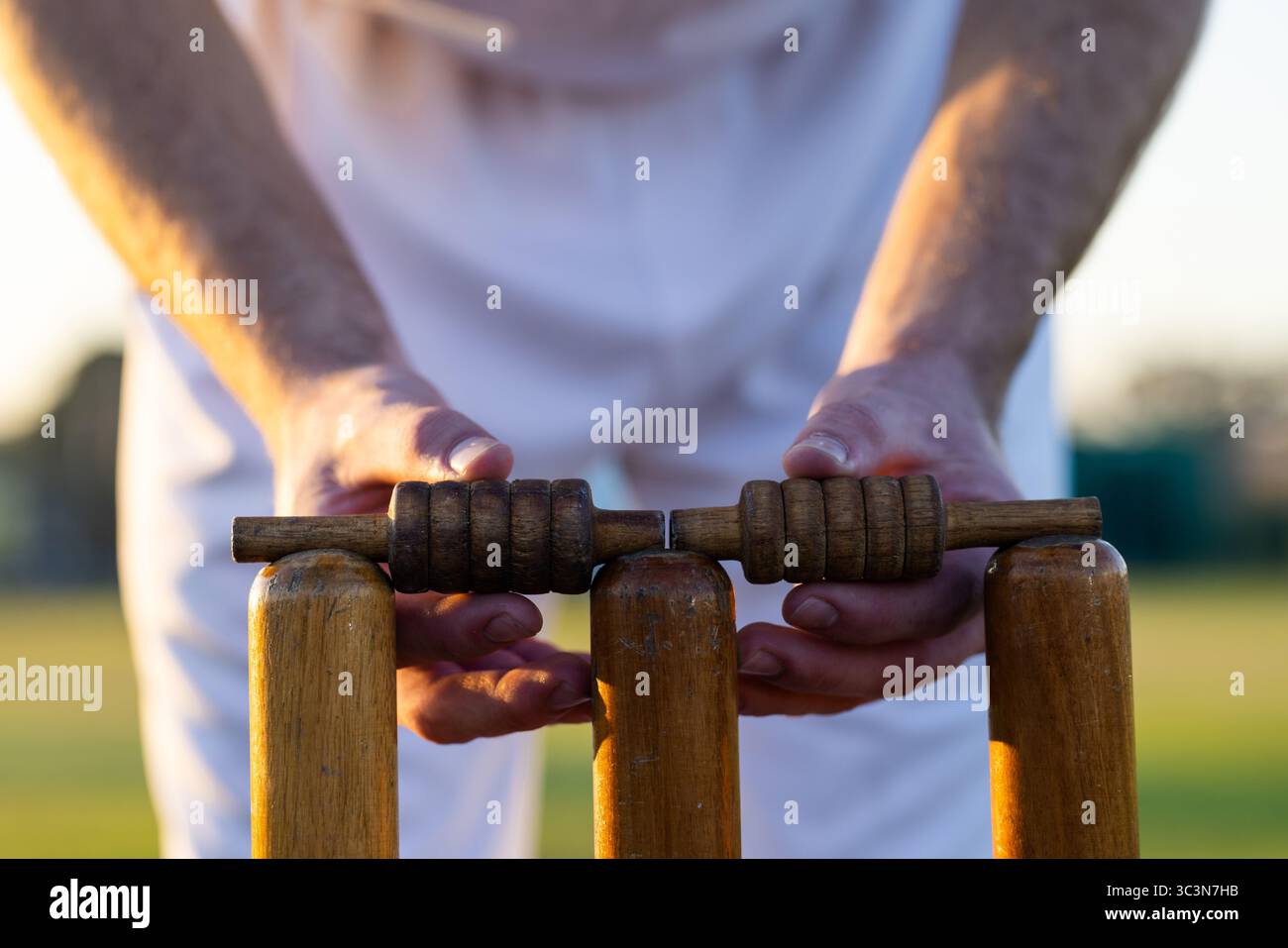 Cricket player placing wooden bail on worn stumps on grassy pitch under ...
