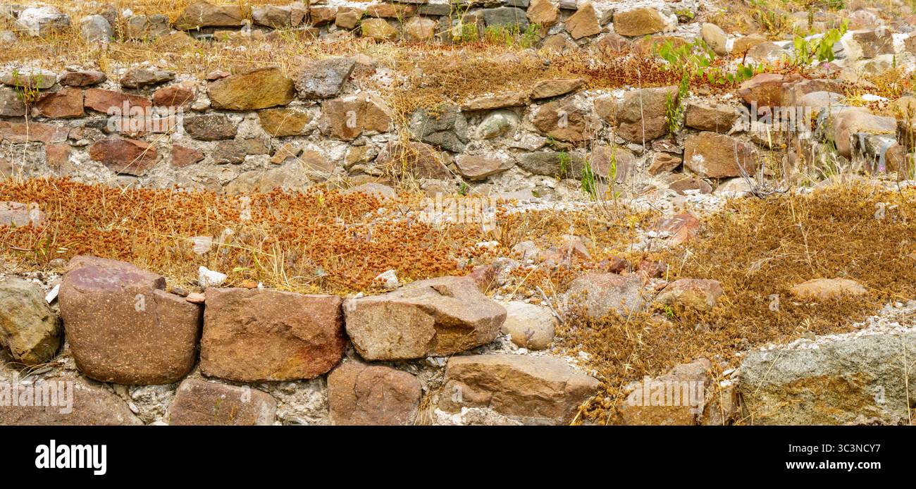 A crumbling stone wall shows signs of age and decay, partly obscured by ...