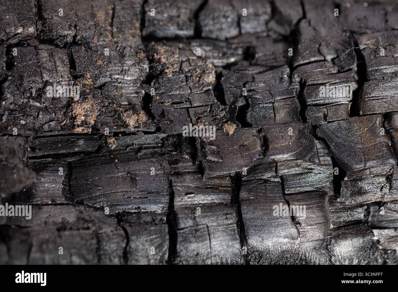 Close-up of charred wood's textures Stock Photo - Alamy