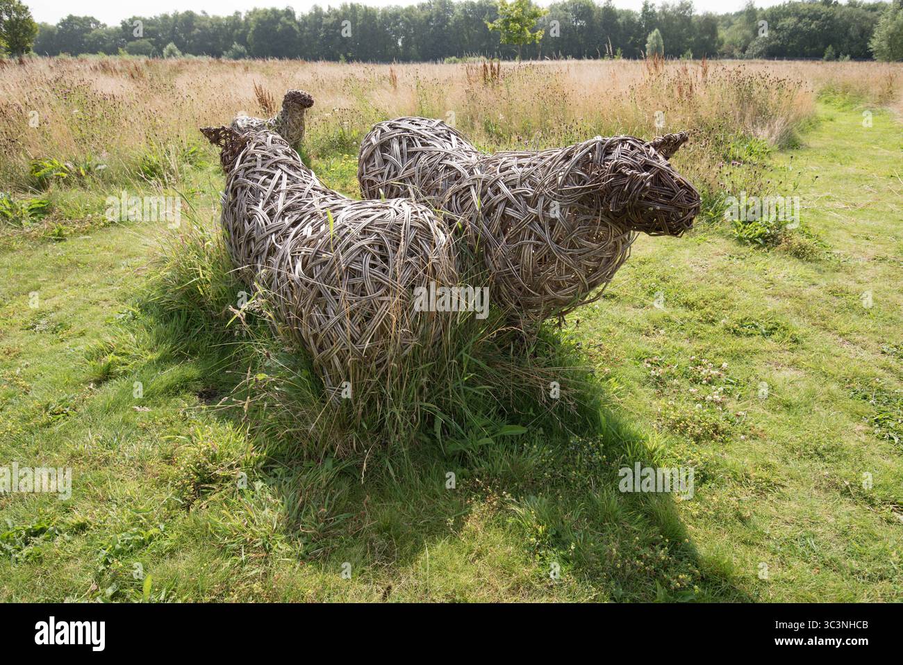 Willow sculptures of sheep are a popular form of art and craft crafted ...