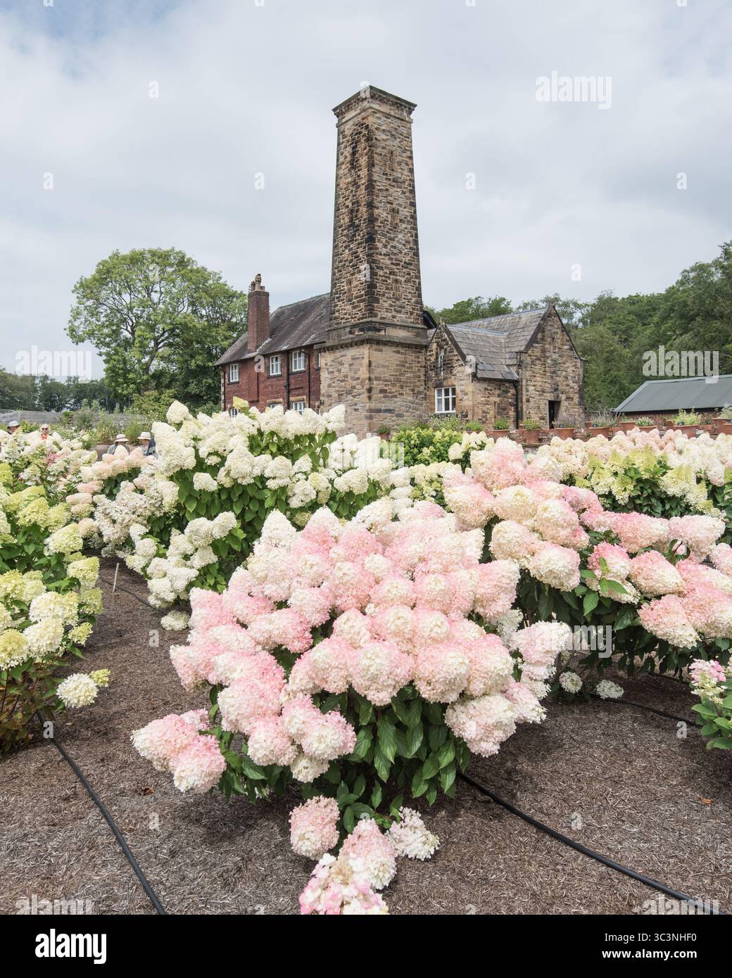 Distinctive chimney of the boiler house at rhs bridgewater hi-res stock ...