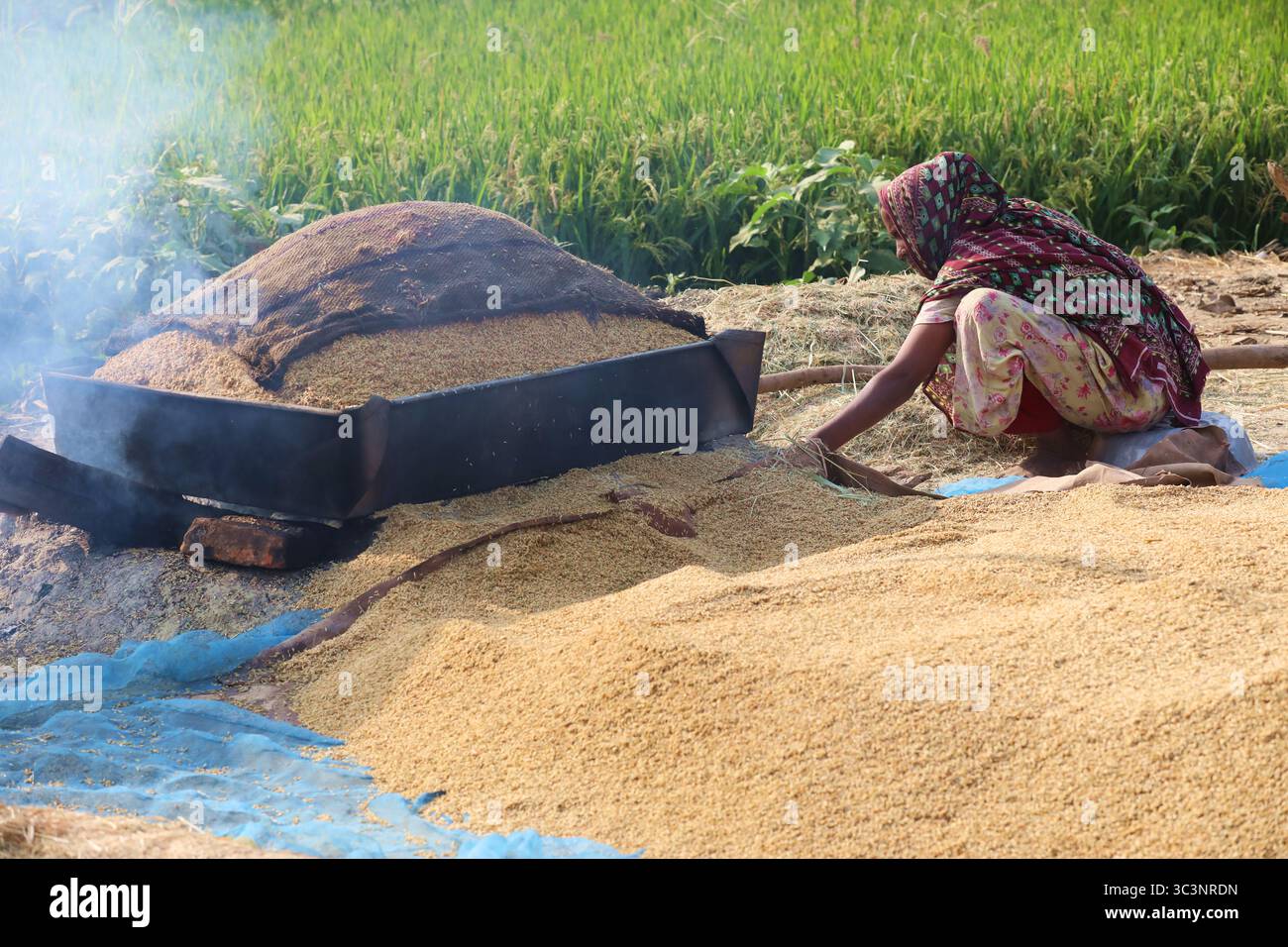 Village woman boiling paddy Stock Photo - Alamy