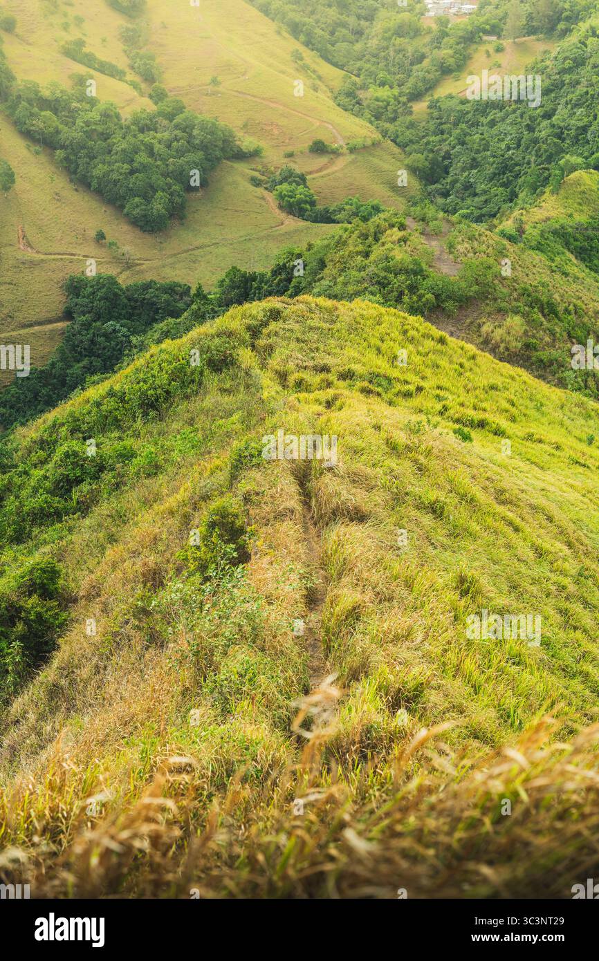 Narrow trail winding through hi-res stock photography and images - Alamy