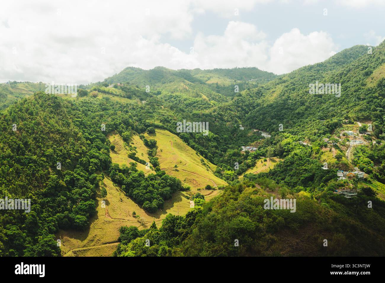 Lush green hills and valleys under a partly cloudy sky, with scattered ...