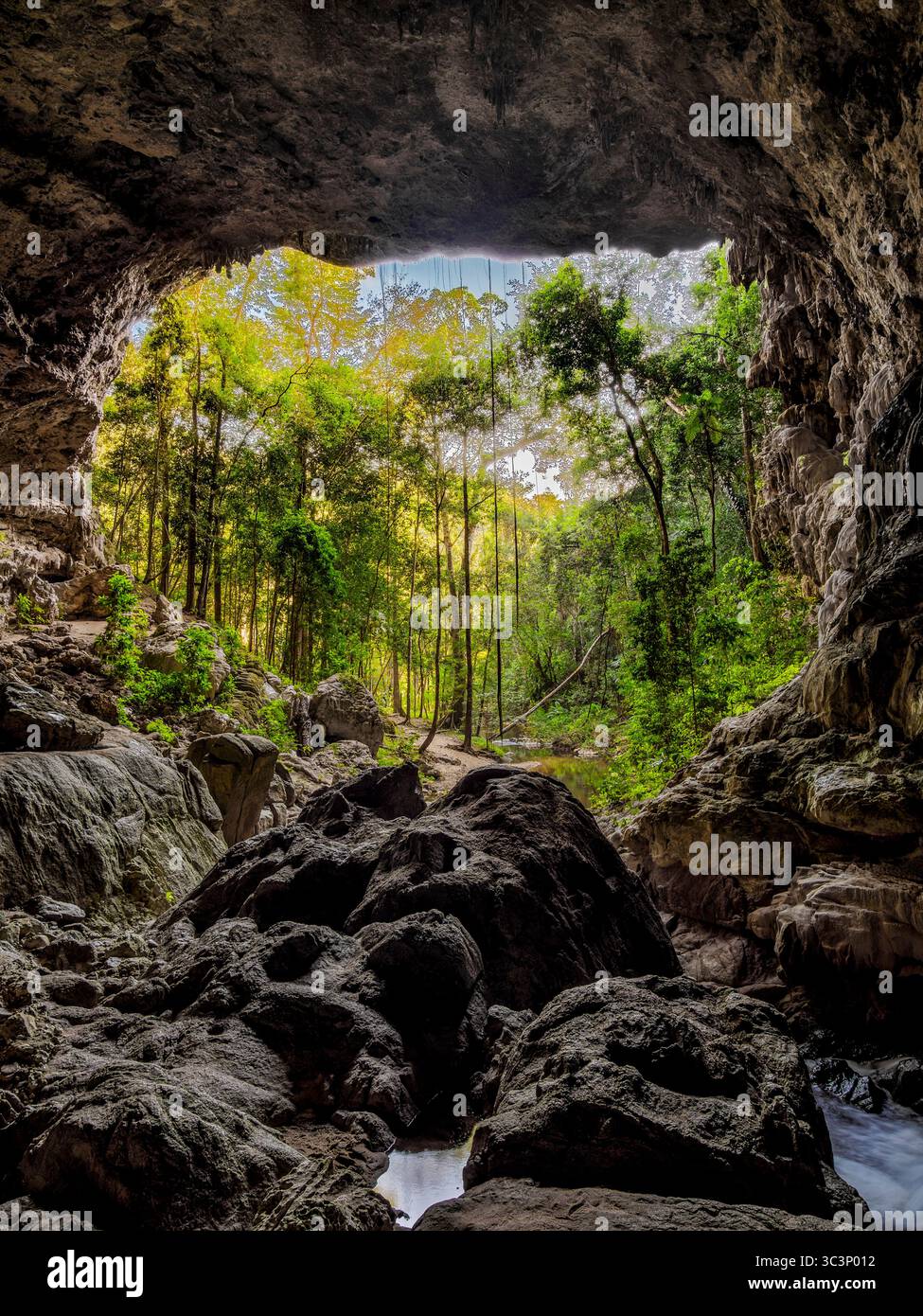 Rio Frio Cave, Mountain Pine Ridge Forest Reserve, Cayo District ...