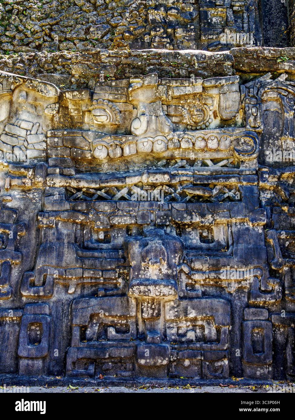 Mayan ruins at Plaza B, detailed view, Caracol Archaeological Site ...