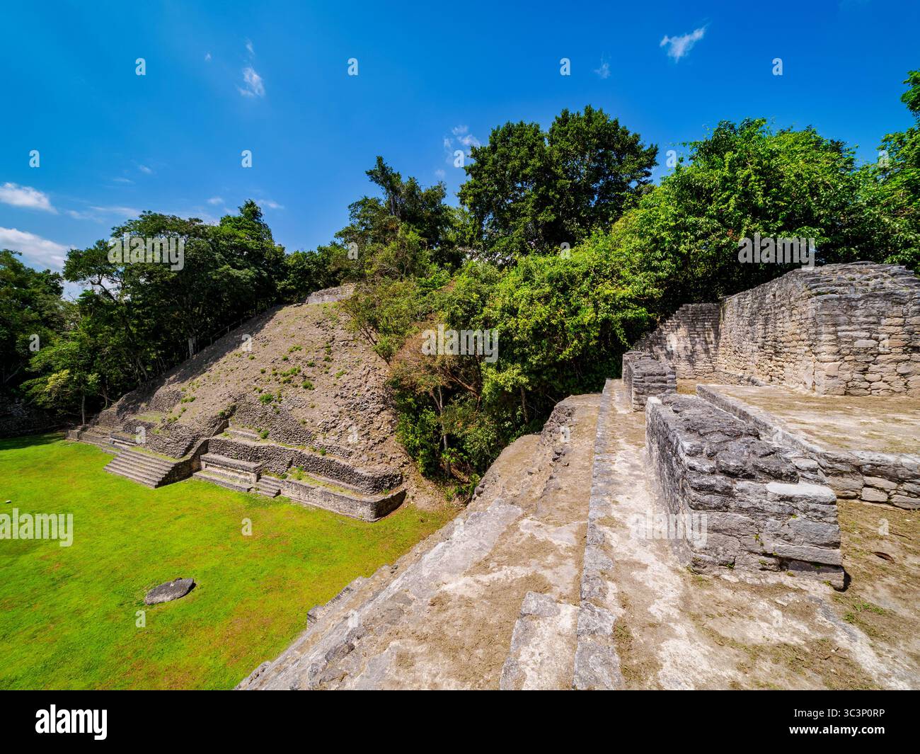 Mayan Ruins at Plaza A, Caracol Archaeological Site, Cayo District ...
