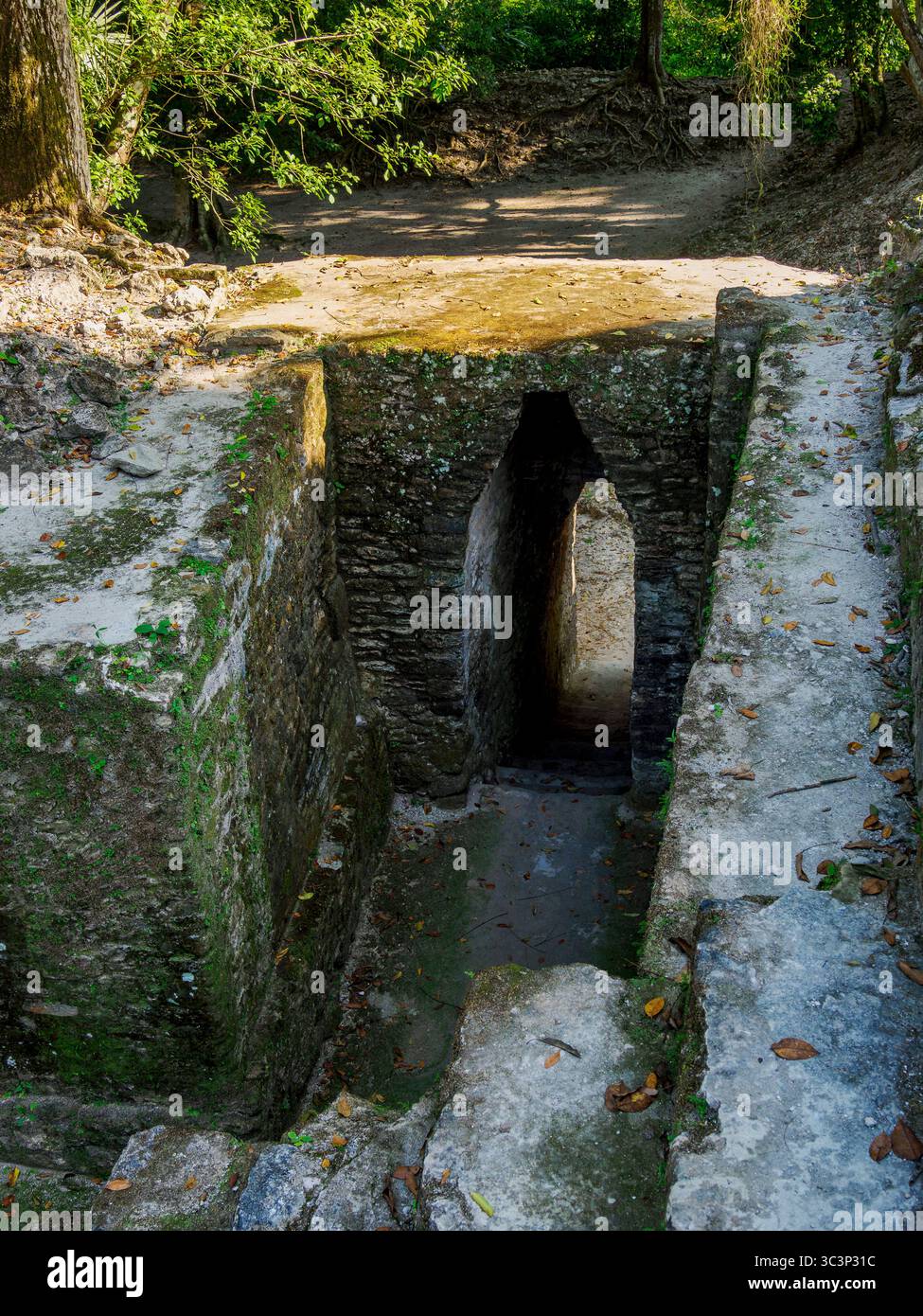 Corbelled arch passageway, Cahal Pech Archaeological Reserve, San ...