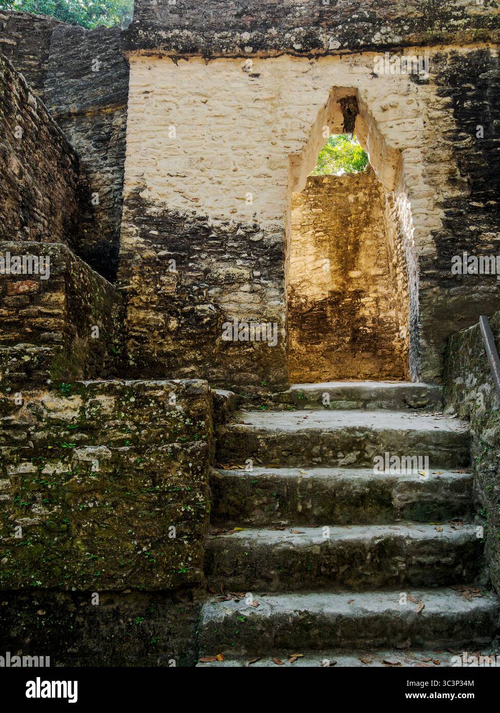 Corbelled arch passageway, Cahal Pech Archaeological Reserve, San ...