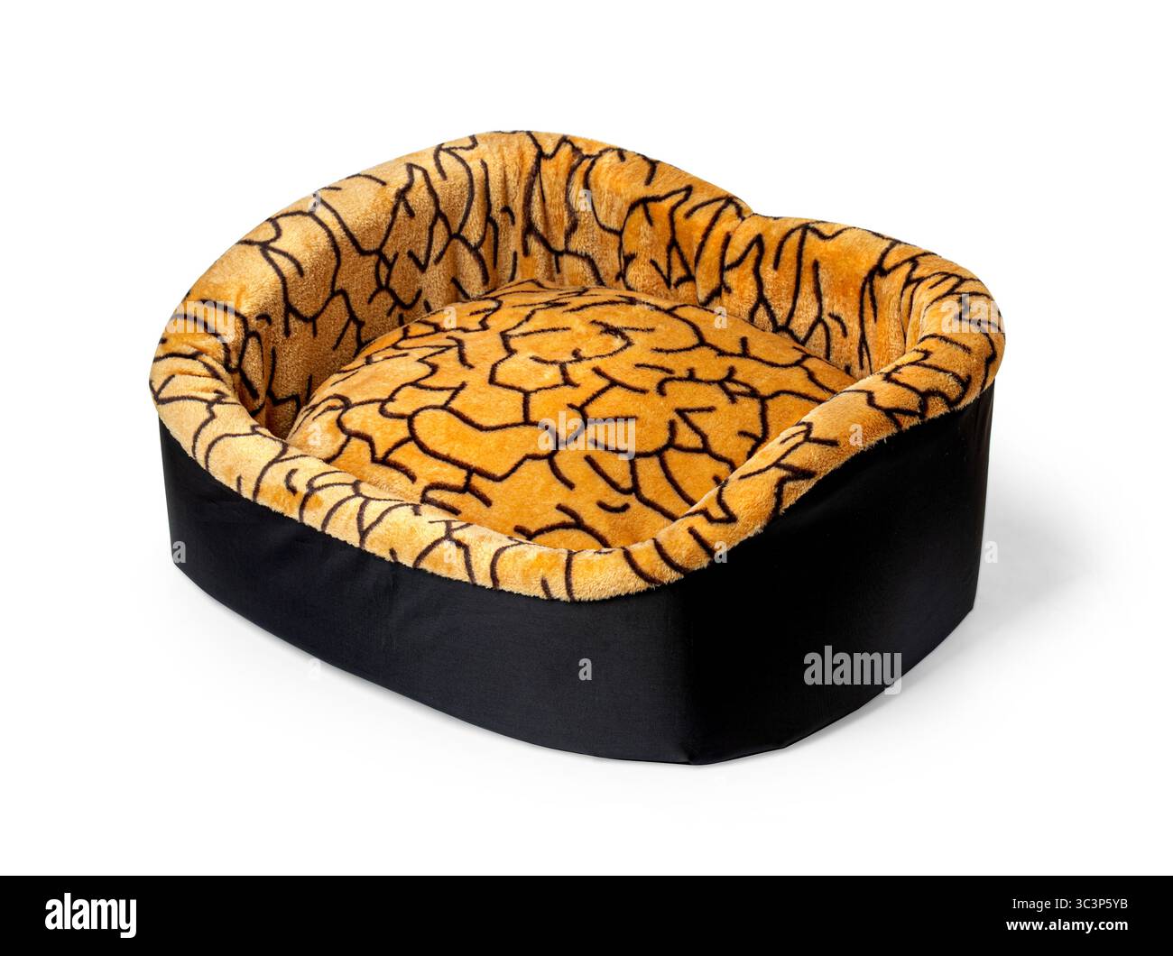 Pet indoors cozy Cut Out Stock Images & Pictures - Alamy