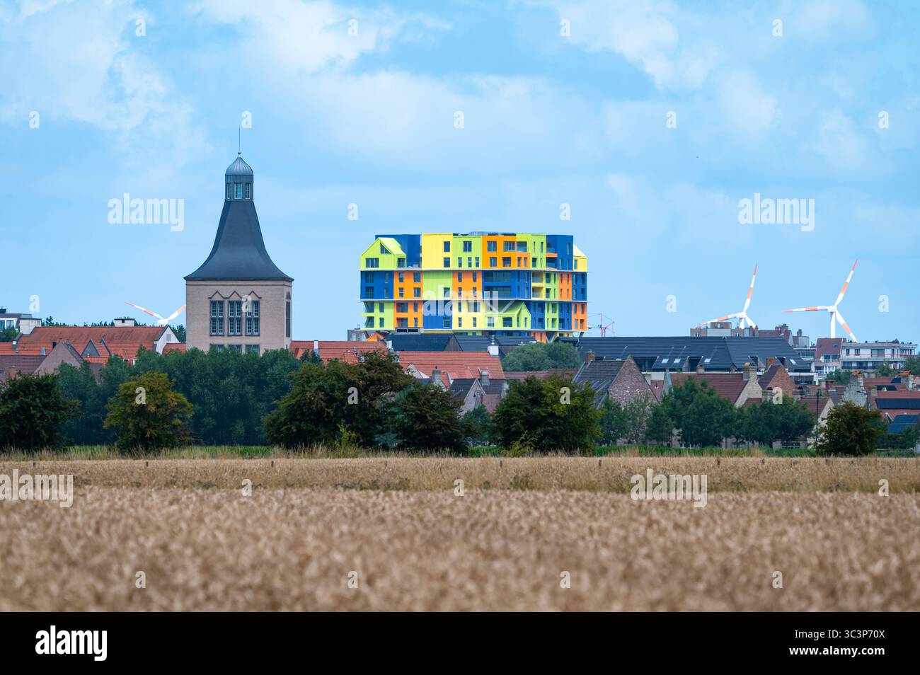 Golden wheat field at the Flemish countryside in Ramskapelle, Knokke ...