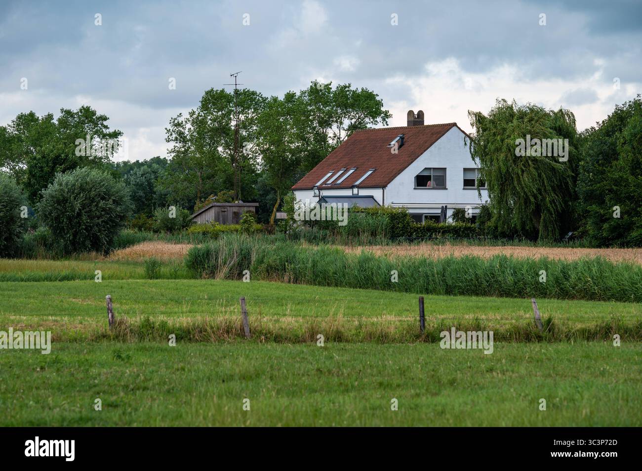 Agriculture fields at the Flemish countrouside around Koolkerke Bruges ...