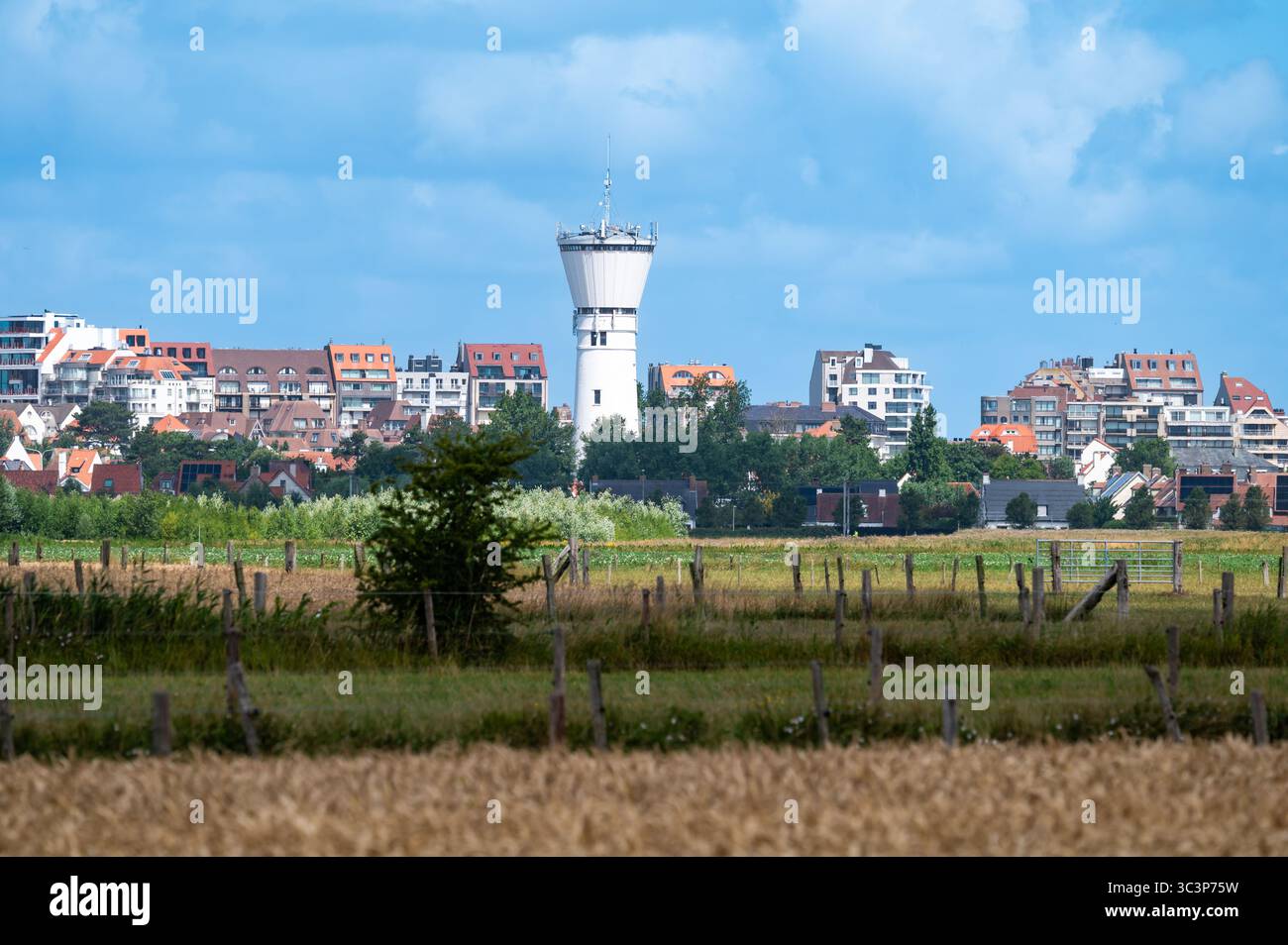 Golden wheat fields with a view over Heist and Duinbergen in ...