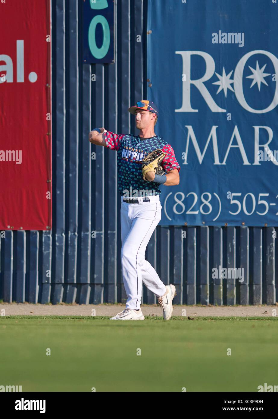 Asheville Hippies right fielder Drew Brutcher (18) throws the ball back ...