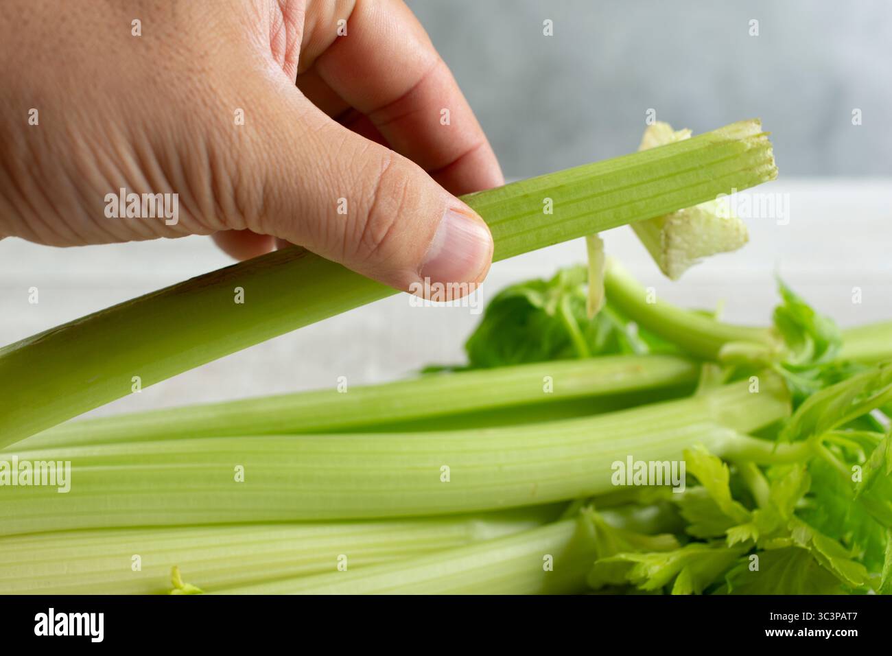 Hand lifting plant garden hi-res stock photography and images - Alamy