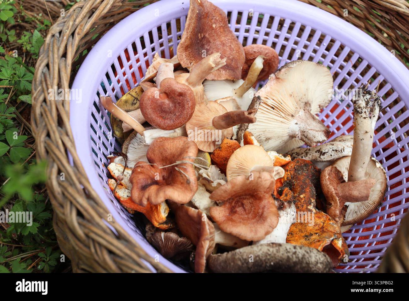 Contla de juan cuamatzi hi-res stock photography and images - Alamy