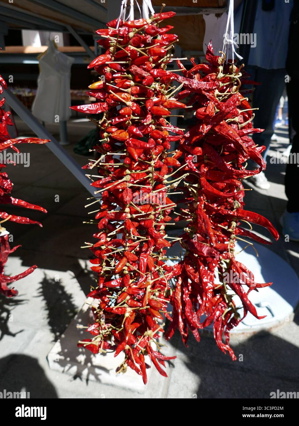 Red chili peppers stringed up for display in outdoor farmers market ...
