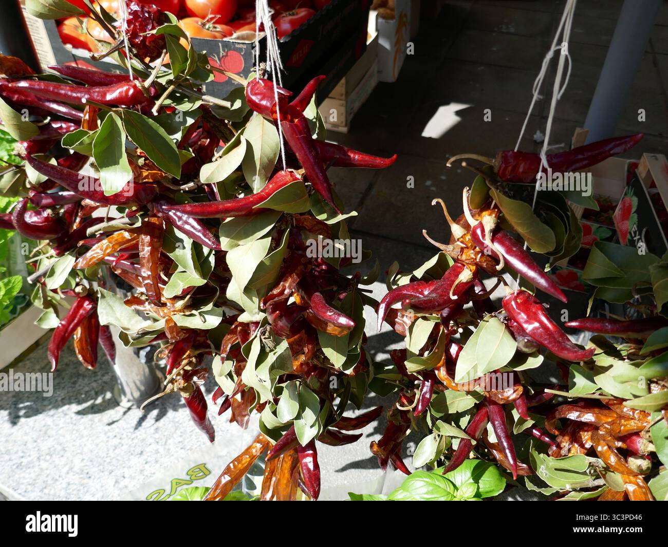 Red chili peppers stringed up for display in outdoor farmers market ...