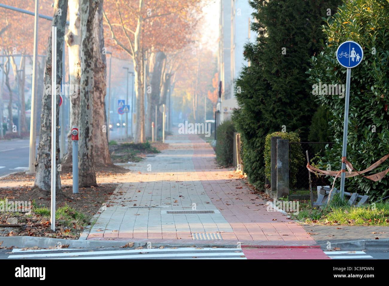 A wide paved city sidewalk bordered by tall trees and bushes is marked ...