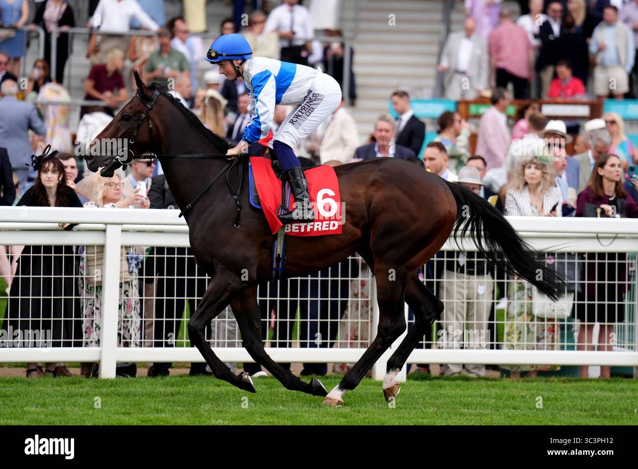 Handicapping at ascot hi-res stock photography and images - Alamy