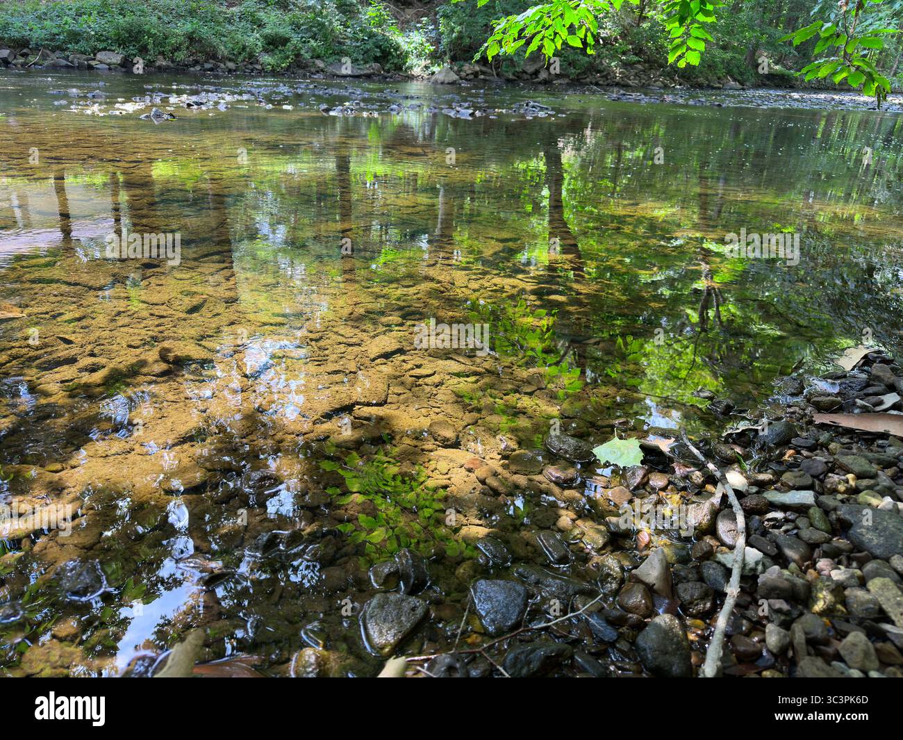 A Crystal Clear River in the Forest Stock Photo - Alamy