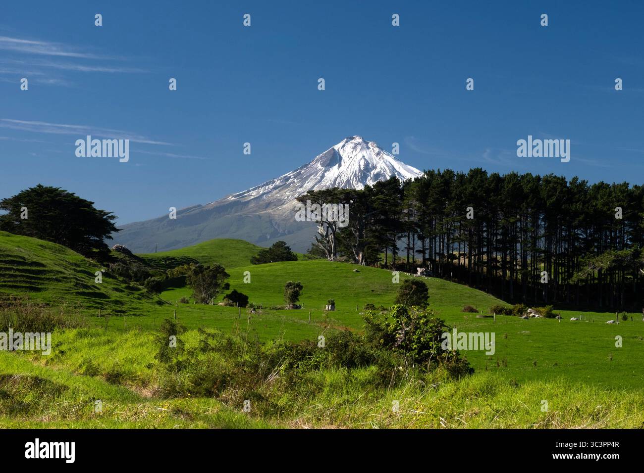 Scenic landscape view of fields and trees and Mount Taranaki on the ...