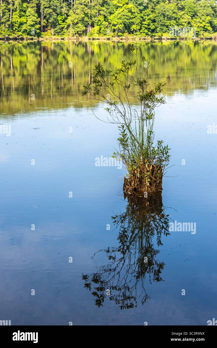 Chief McIntosh Lake at Indian Springs State Park in Flovilla, Georgia ...