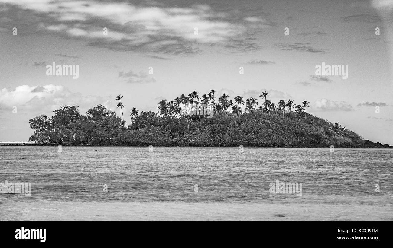 Tropics sand Black and White Stock Photos & Images - Alamy