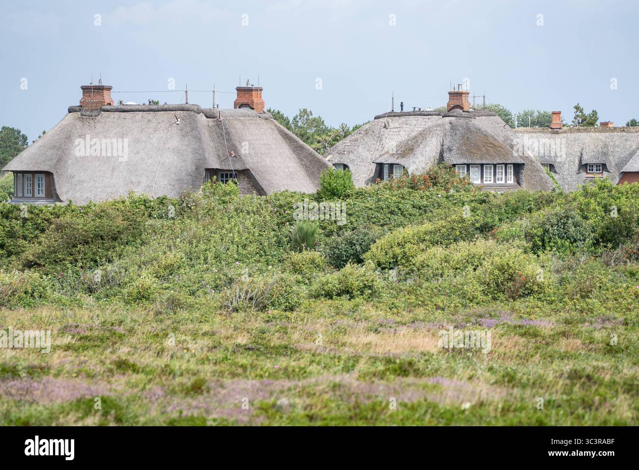 Blick auf Luxusimmobilien in den Dünen von Kampen auf der Nordseeinsel ...