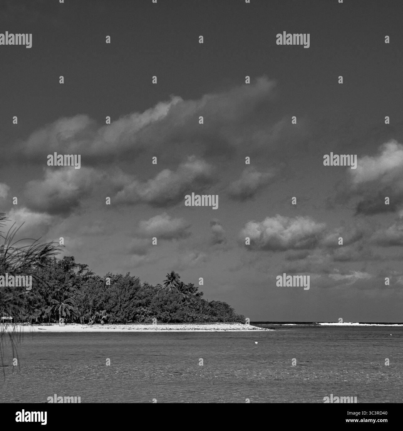 Tropics sand Black and White Stock Photos & Images - Alamy