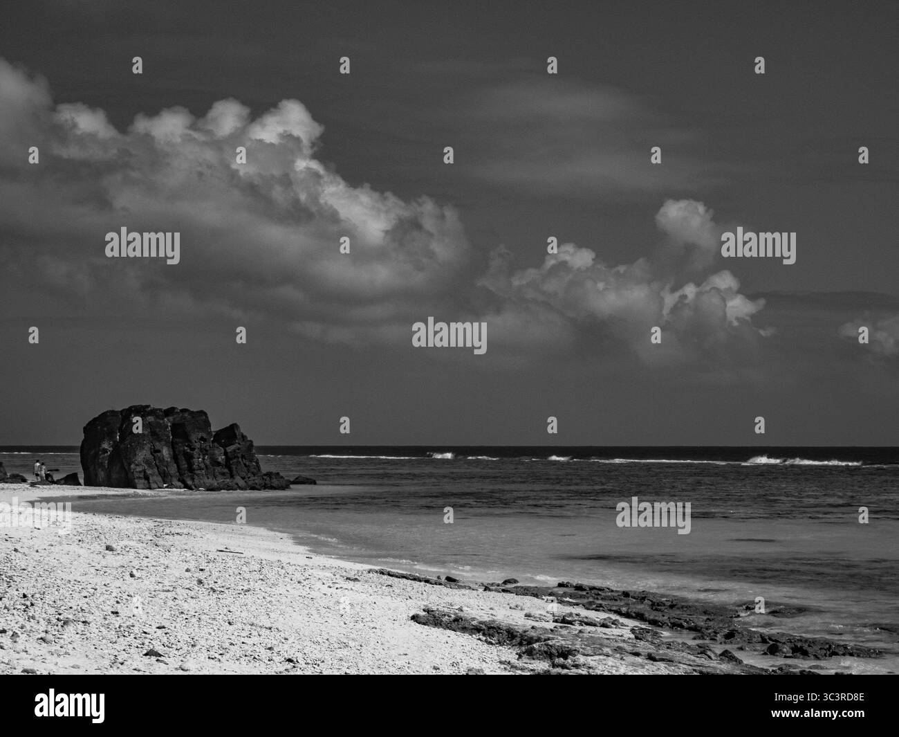 Coral reef tropical fishes Black and White Stock Photos & Images - Alamy