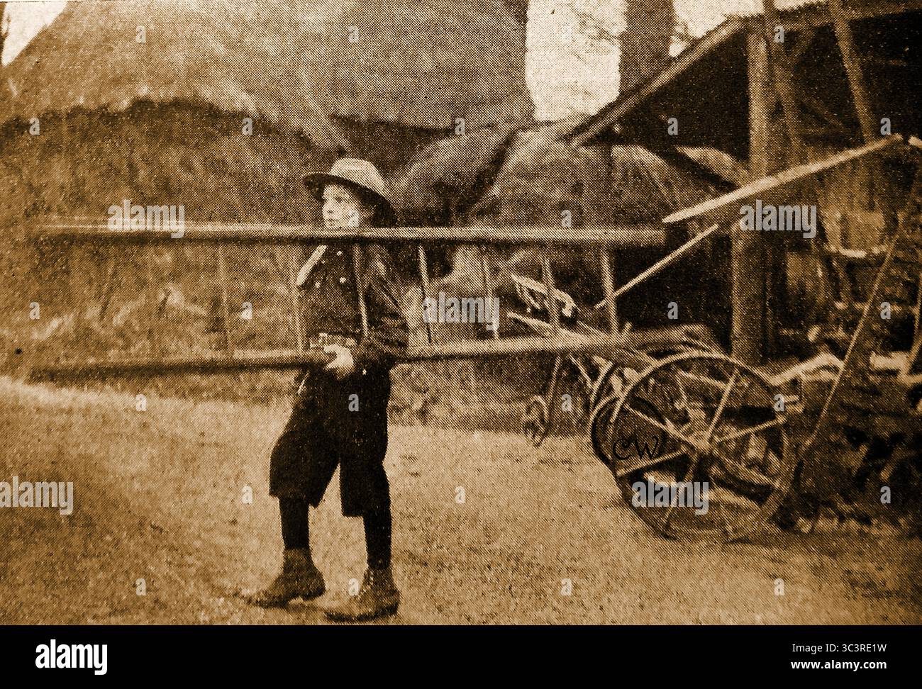 A patriotic British boy scout assisting out on a farm during harvest ...