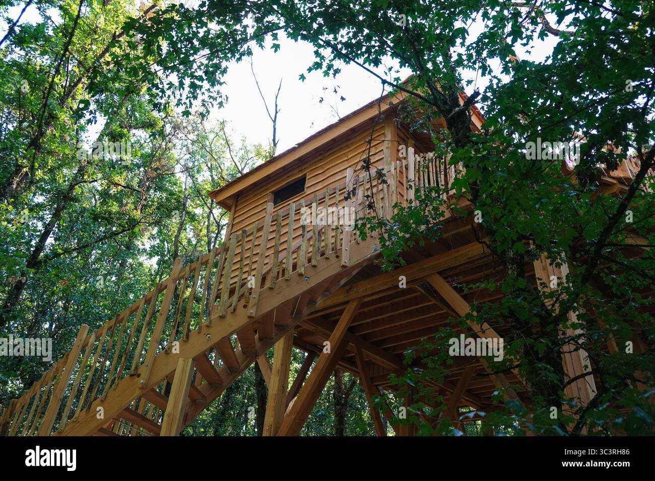 Treehouse lodging hi-res stock photography and images - Alamy