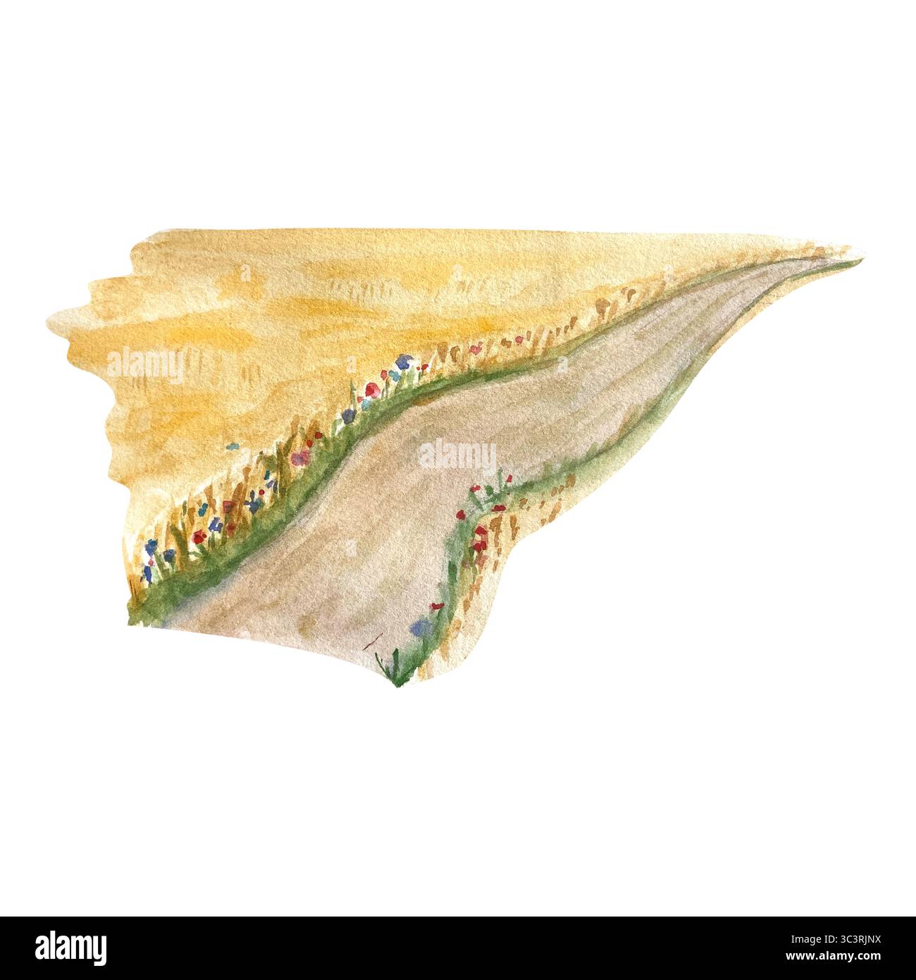 Countryside wildflowers Cut Out Stock Images & Pictures - Alamy