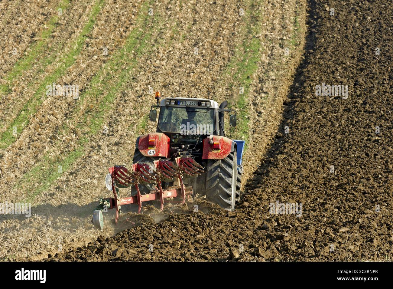Harvested grain field being turned into a field by Steyr tractor with ...