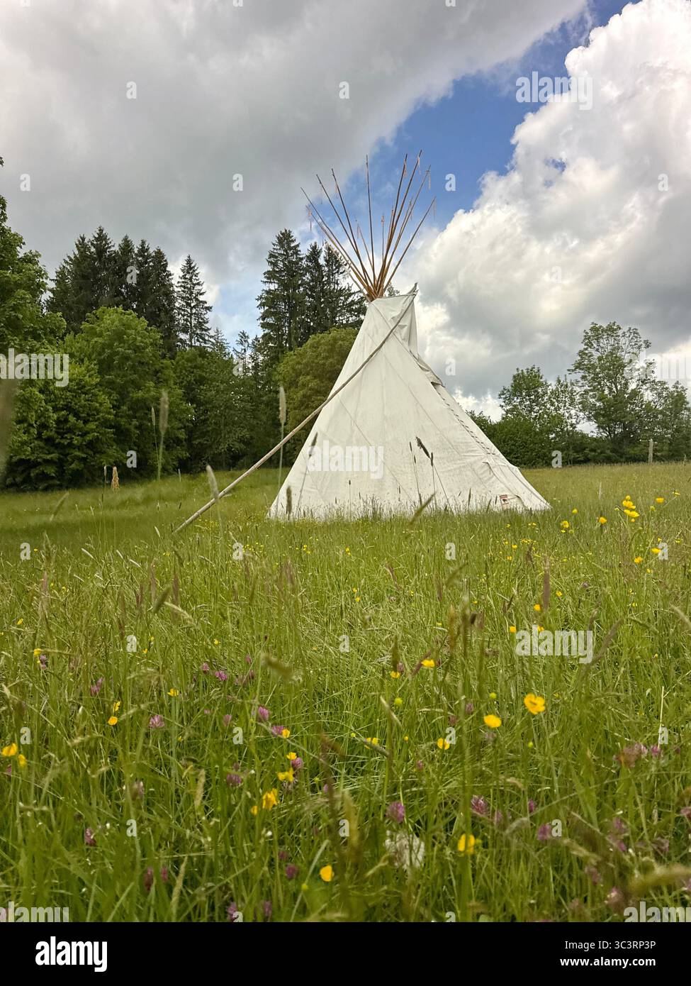 Historic hut in field hi-res stock photography and images - Alamy